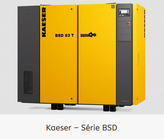 Equindus - KAESER - entraînement direct